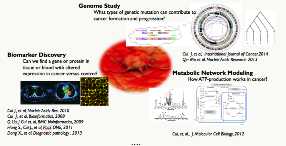 Projects | Systems Biology and Biomedical Informatics Laboratory | Nebraska